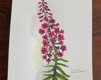 Fireweed Print - Etsy