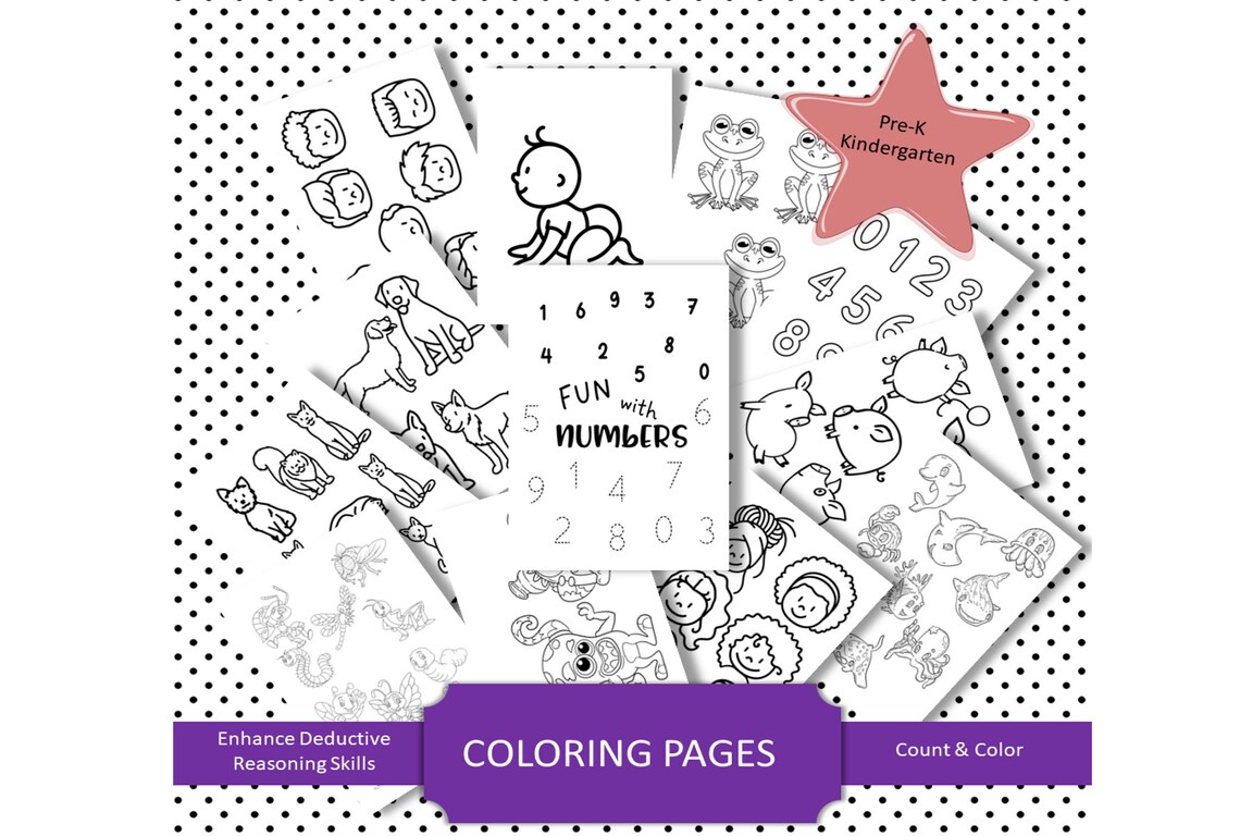 COUNTING & NUMBERS Pre-k / Kindergarten Printables - Etsy