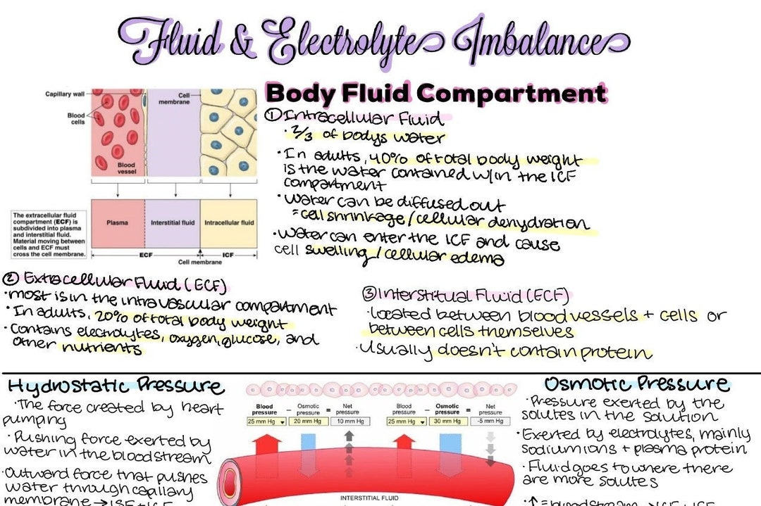 Pathopharm Nursing Notes Electrolyte Imbalances Study Guide - Etsy