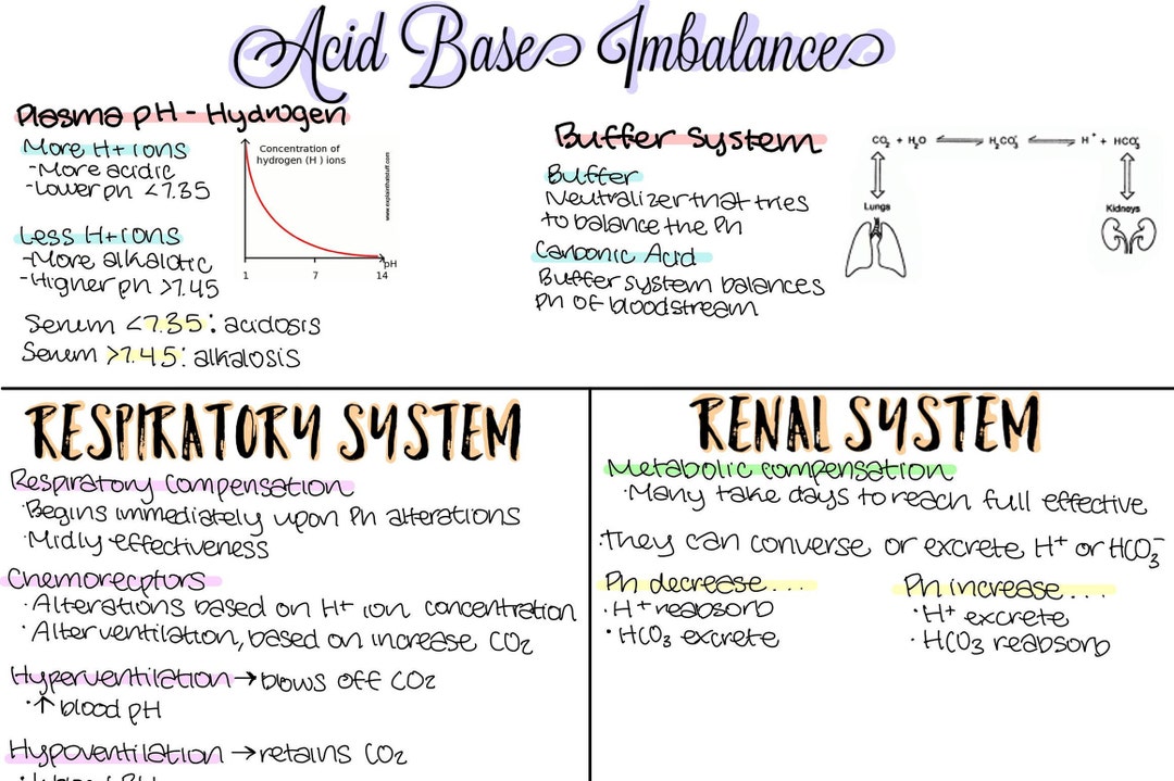 Pathopharm Nursing Acid Base Notes Diagram - Etsy