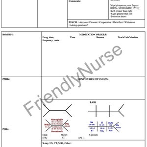 DETAILED Nurse Report Sheet Nursing School - Etsy