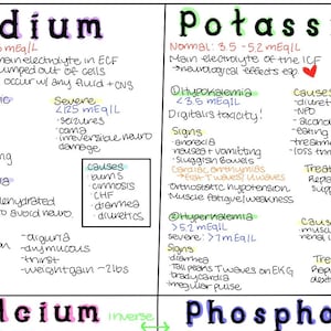 Pathopharm Nursing Notes Electrolyte Imbalances Study Guide - Etsy