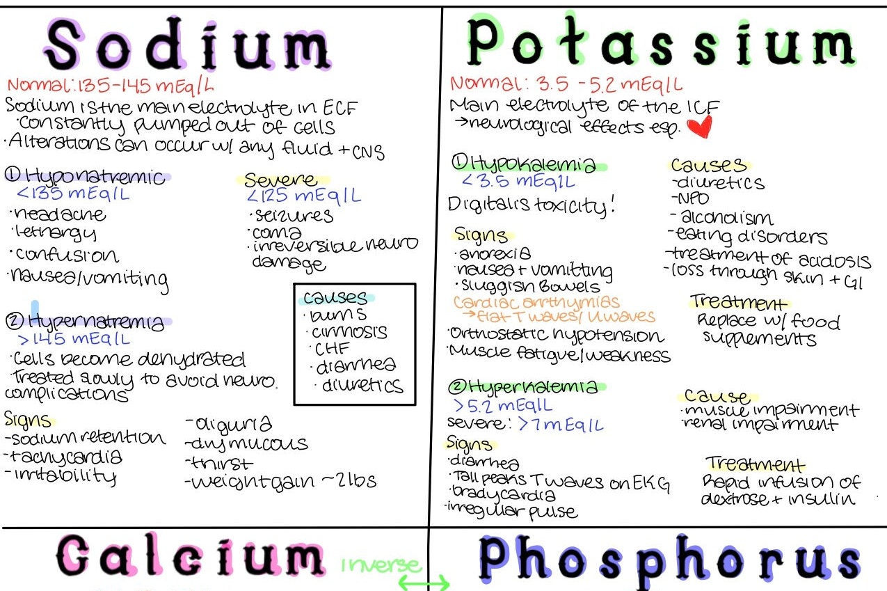 Pathopharm Nursing Notes Electrolyte Imbalances Study Guide - Etsy