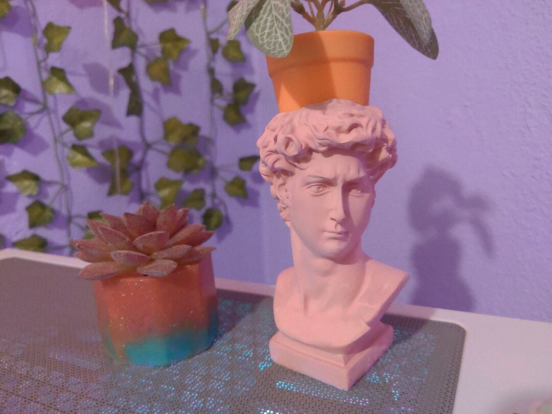 Pink David Statue Vase, Dark Academia Decor, Soft Girl Aesthetic Room ...