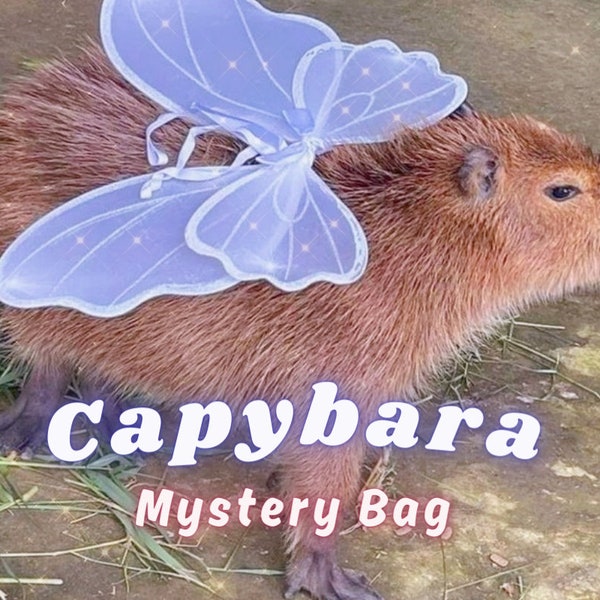 Capybara Box - Etsy