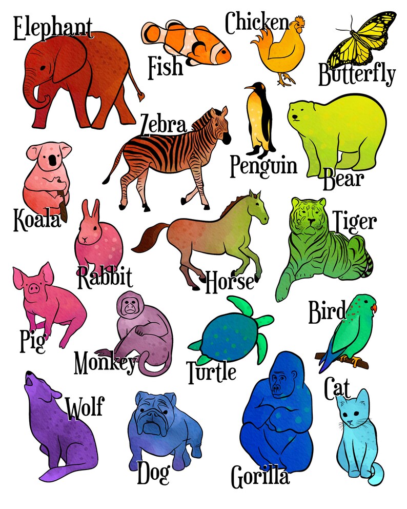 Rainbow Animal Art Print || Educational Art Print || Digital File ONLY ...