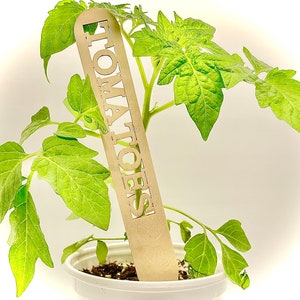 Garden Markers, Garden Labels, Signs Vegetable Labels, Plant Markers ...