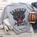 Panther Sweatshirt, Panther Shirt, Panthers Shirt, Retro School Spirit ...