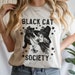 Black Cat Shirt, Cat Tshirt, Halloween Shirt, Witchy Shirt, Halloween ...