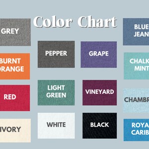 Bears Football Shirt, Bears Football, Grizzlies Shirt, Bear Mascot ...