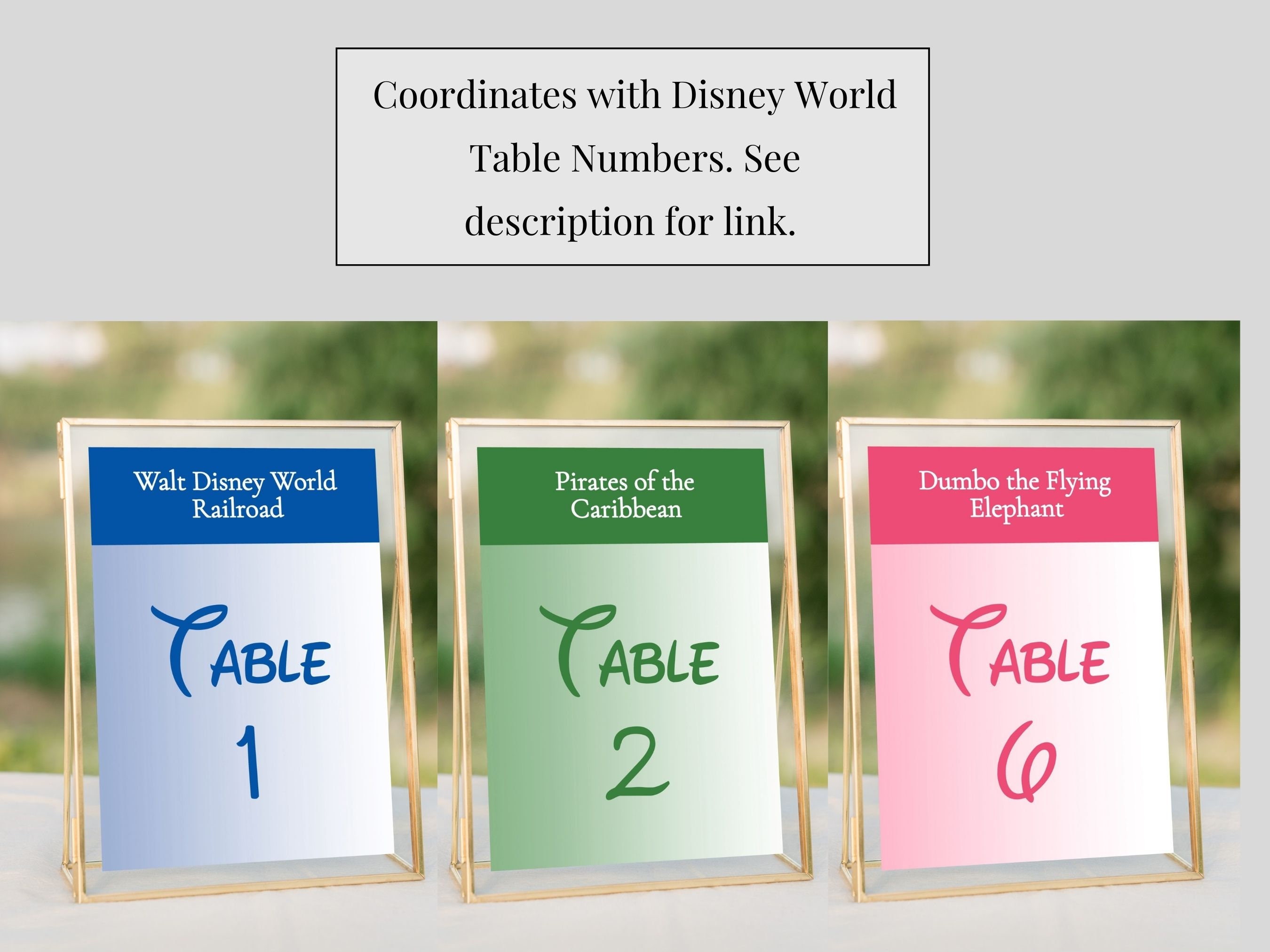 Magic Kingdom Park Map Seating Chart Template, Printable Wedding ...