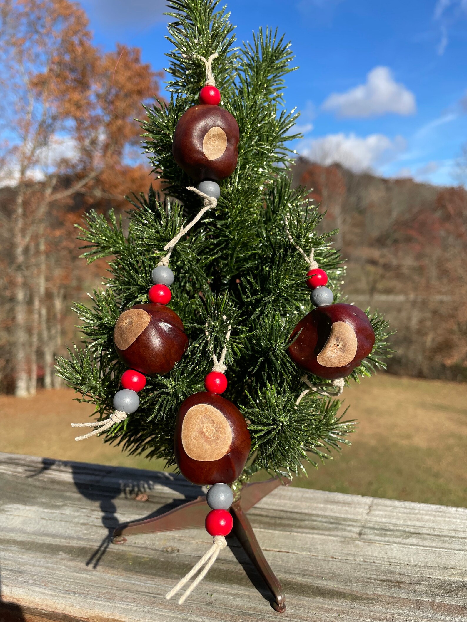 Ohio State Buckeye Christmas Ornament Set - Etsy