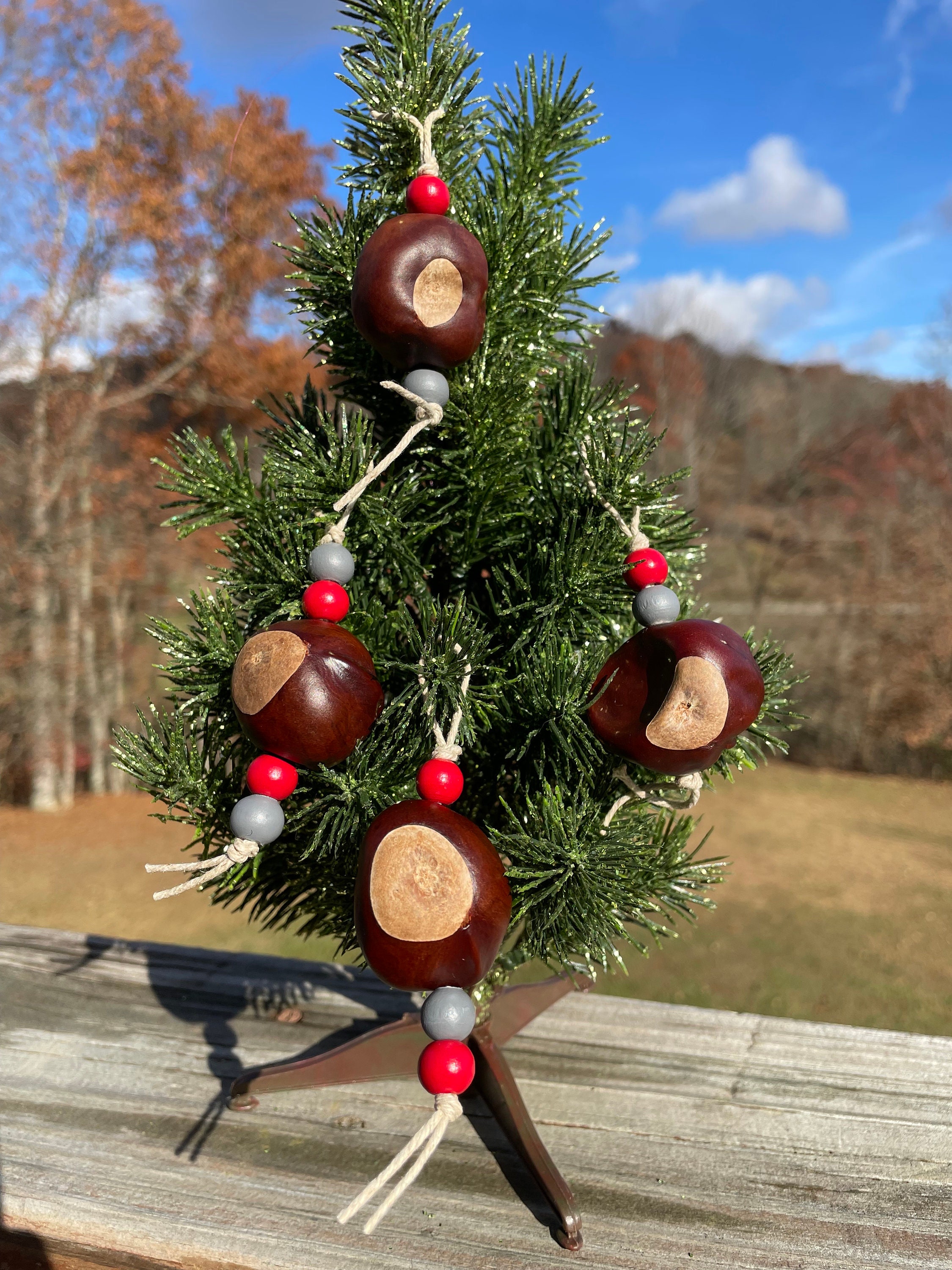 Ohio State Buckeye Christmas Ornament Set - Etsy