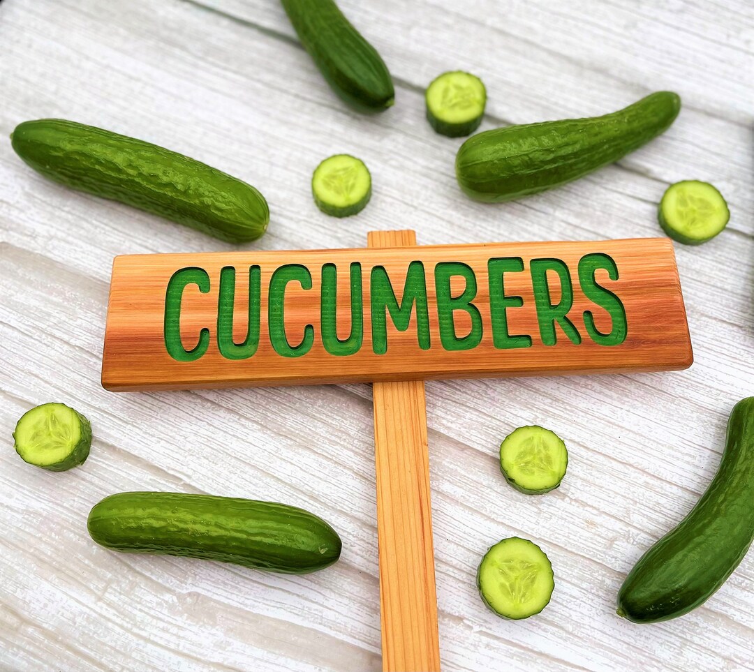 Cedar Wood Sign Garden Marker Cucumbers Carved, Painted & Sealed Stake ...
