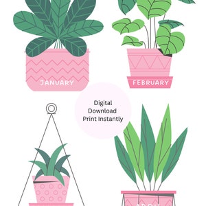 Classroom Birthday Display | Classroom Birthday Board | Classroom ...