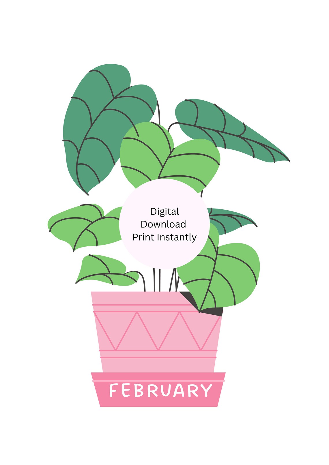 Classroom Birthday Display | Classroom Birthday Board | Classroom ...