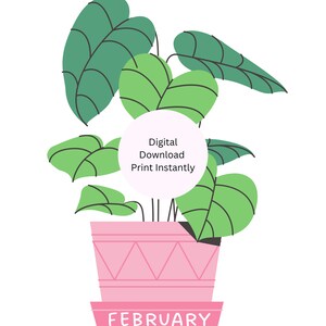 Classroom Birthday Display | Classroom Birthday Board | Classroom ...