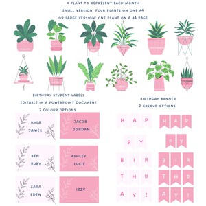 Classroom Birthday Display | Classroom Birthday Board | Classroom ...