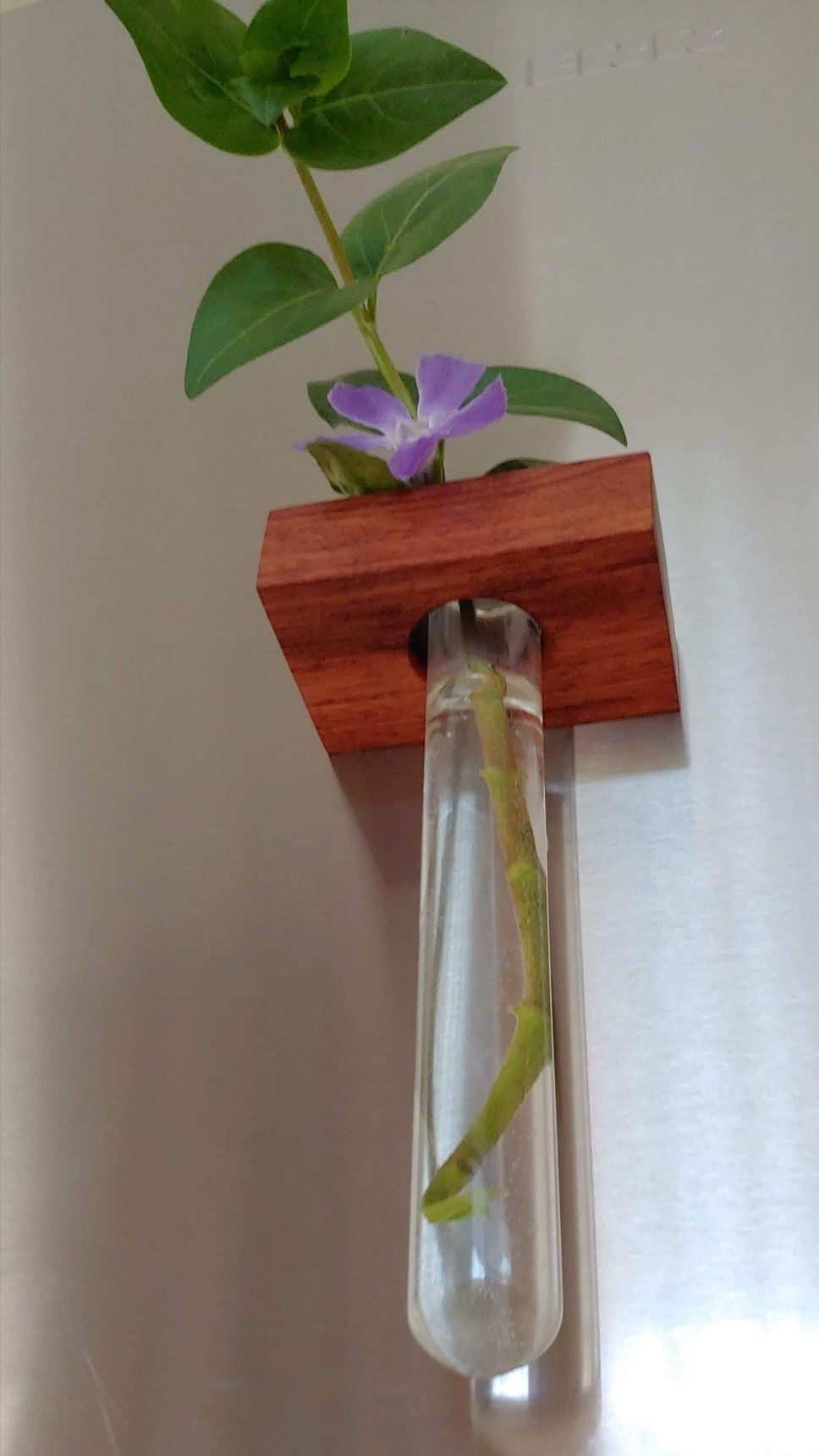 Magnet Vases Set of 3 Pcs Fridge Vase Fridge Magnet - Etsy