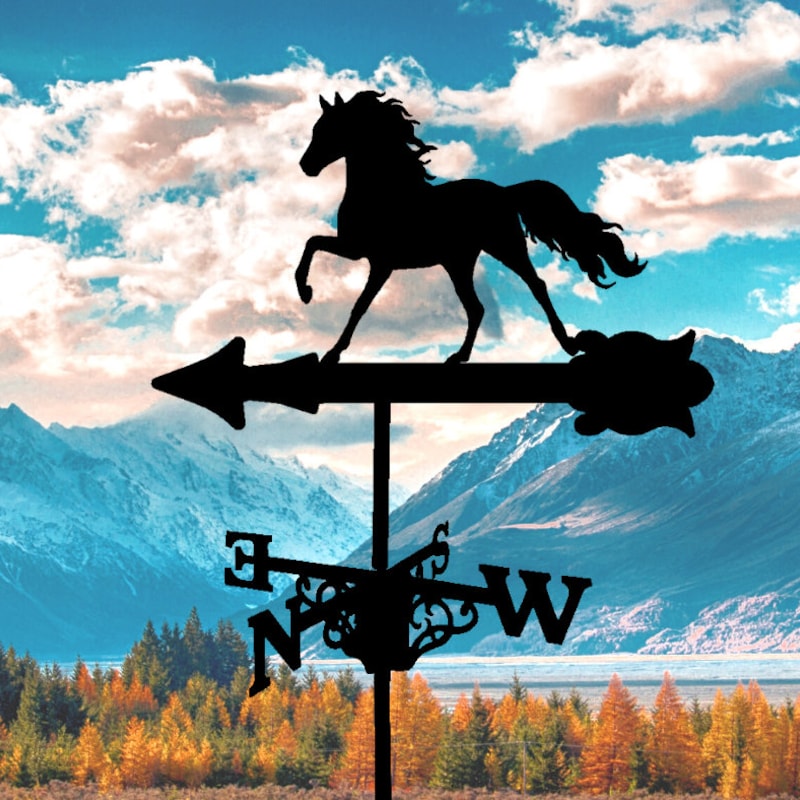 Weather Vanes - Etsy