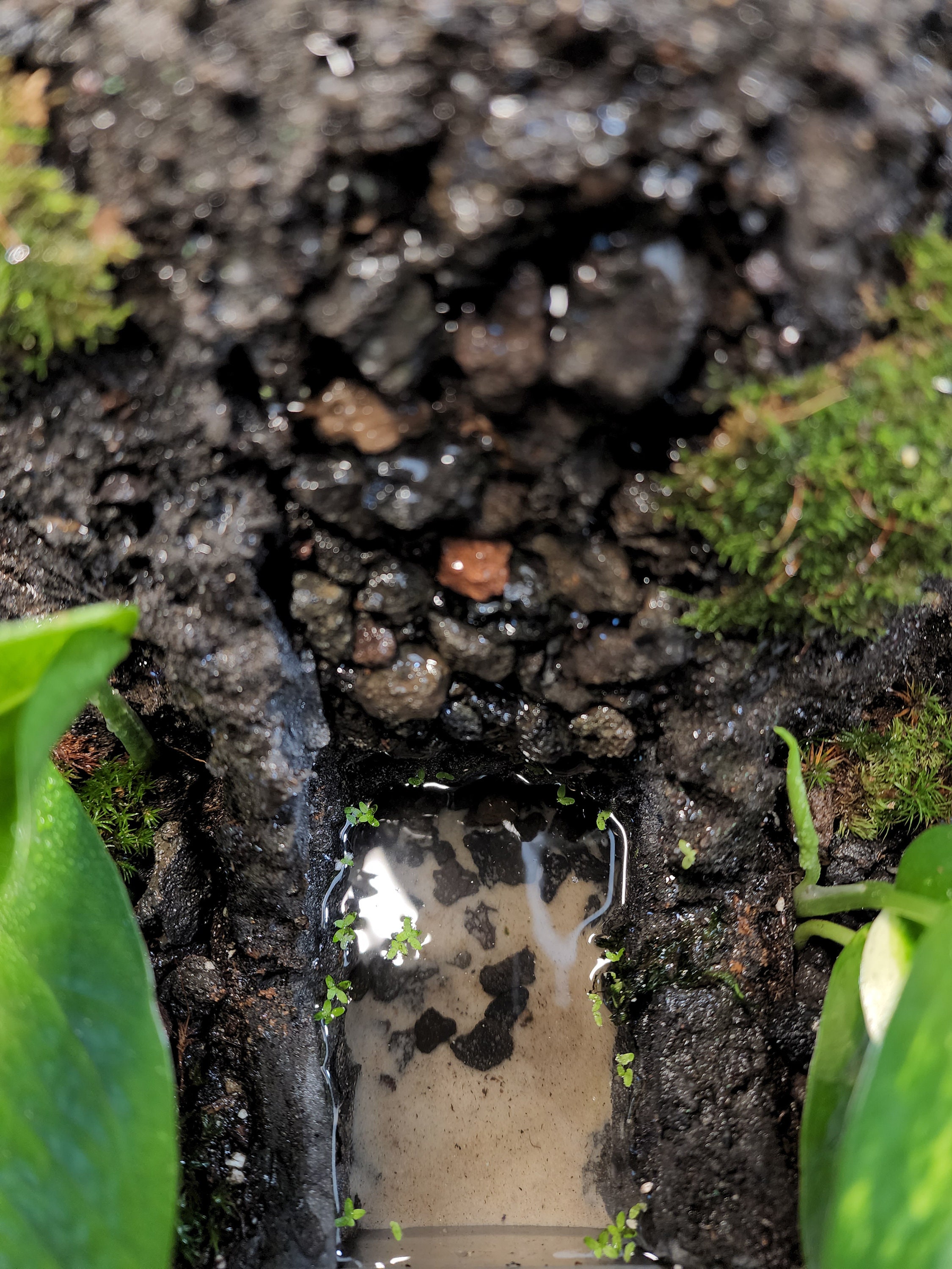 Living Waterfall Terrarium-paludarium Running Waterfall - Etsy