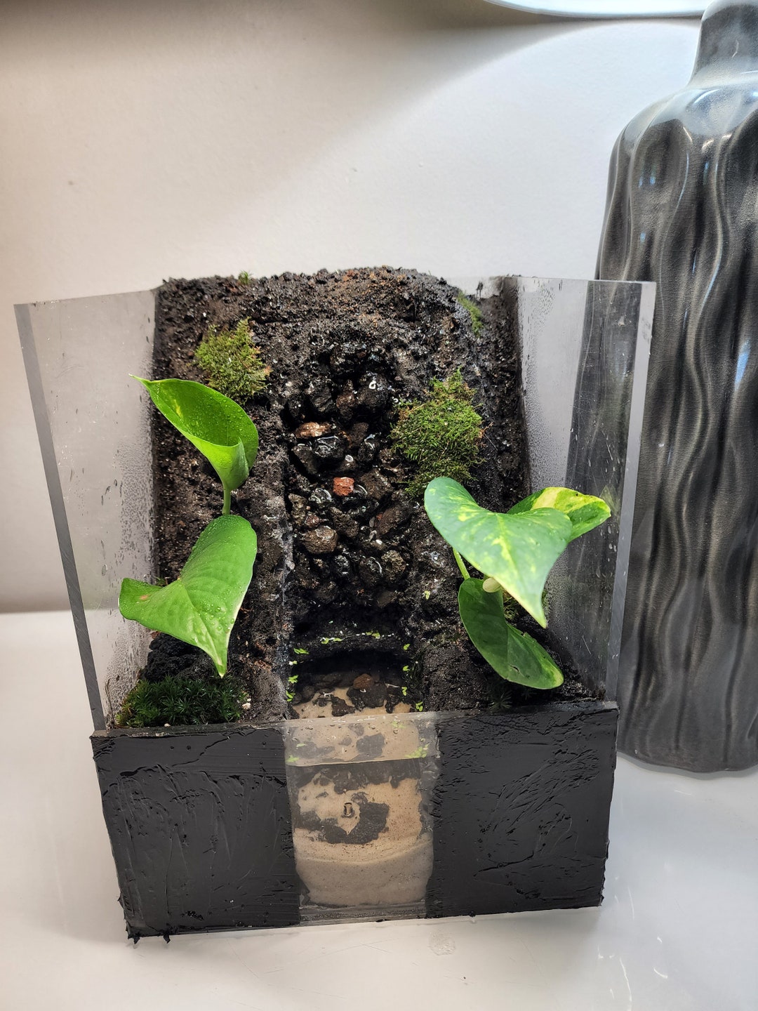 Living Waterfall Terrarium-paludarium Running Waterfall - Etsy