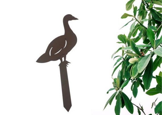 Pigeon Bird Goose Garden Rust Pot Raven Terrace Balcony - Etsy