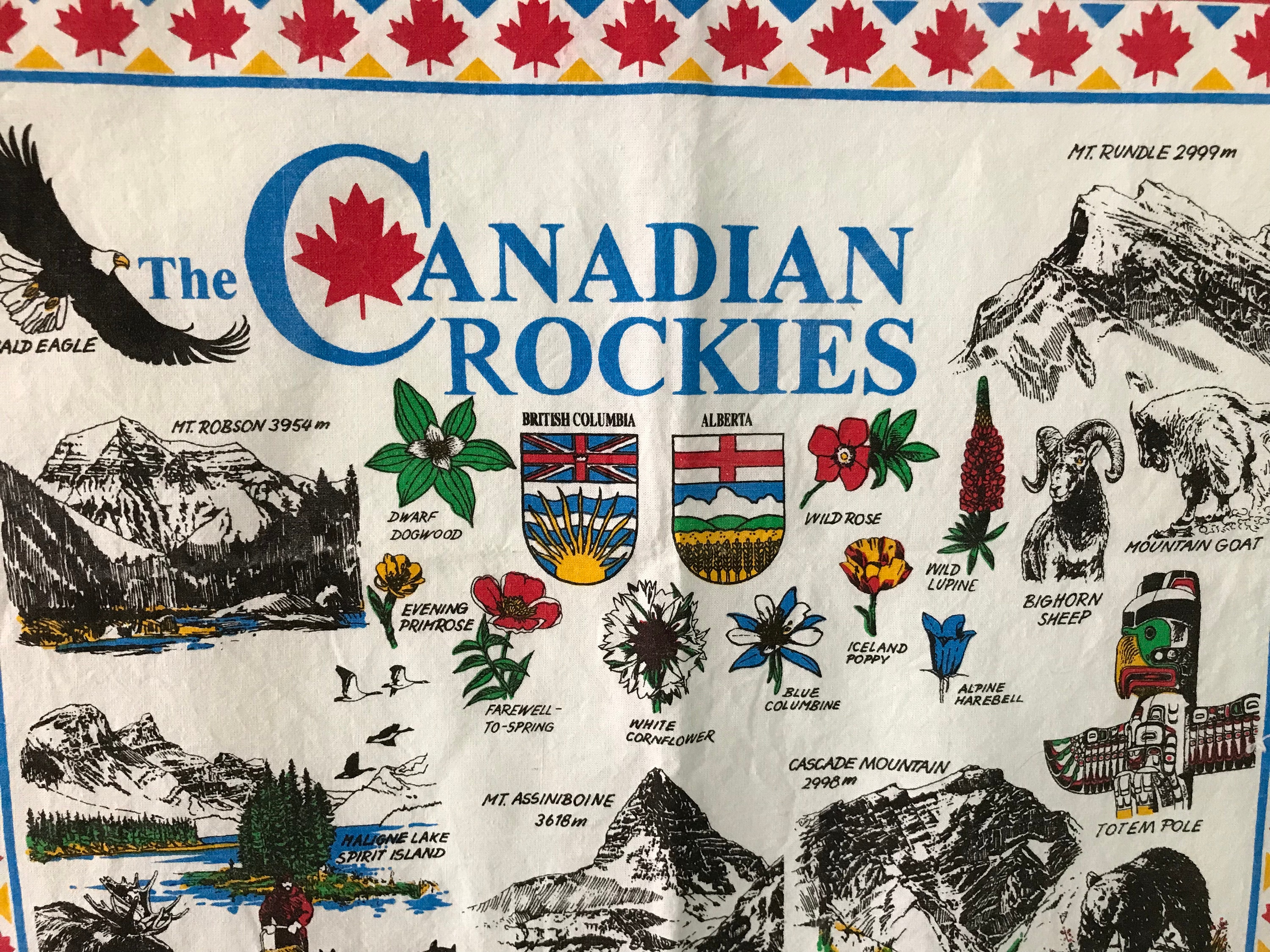 RETRO 1980s Canadian Rockies Souvenir Tea Towel - Etsy