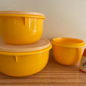 Retro Large Round Tupperware Container, Beautiful Golden Orange With ...