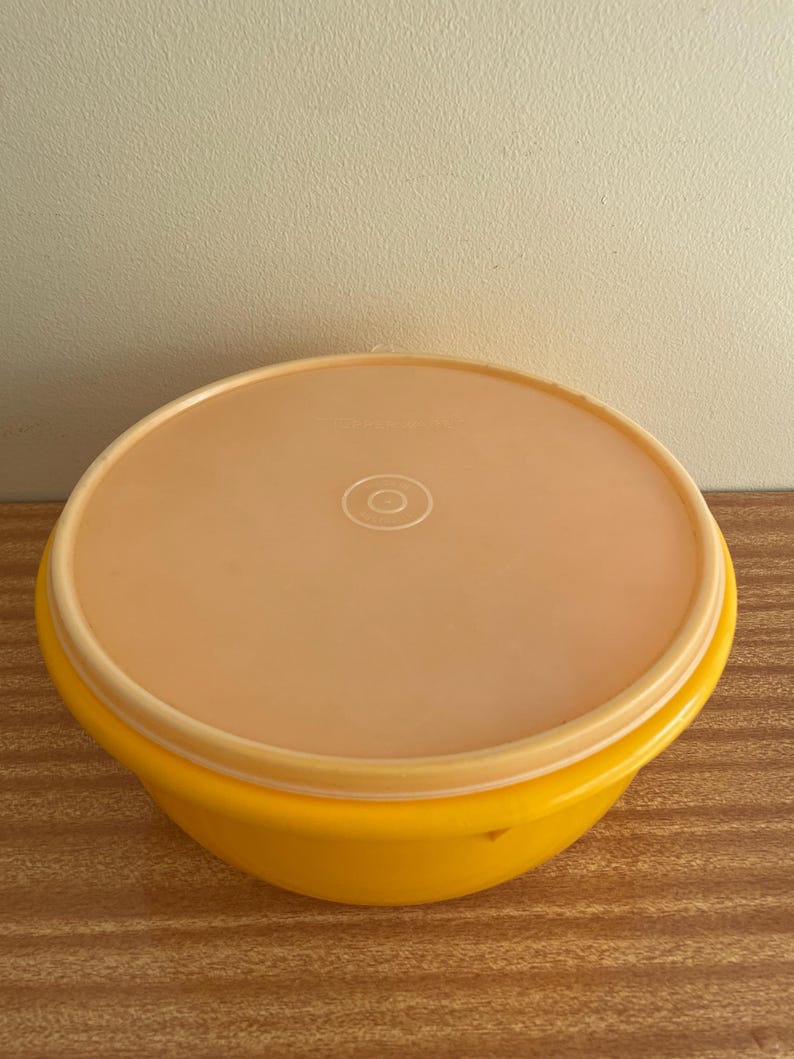 Retro Large Round Tupperware Container, Beautiful Golden Orange With ...