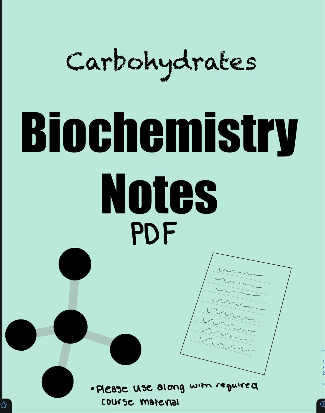 Basic Biochemistry Notes on Carbohydrates (chapter 10) - Etsy