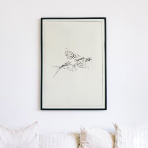 Flying Fish Graphite Sketch Wall Art & Illustrations in Three Colors ...