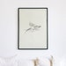 Flying Fish Graphite Sketch Wall Art & Illustrations in Three Colors ...