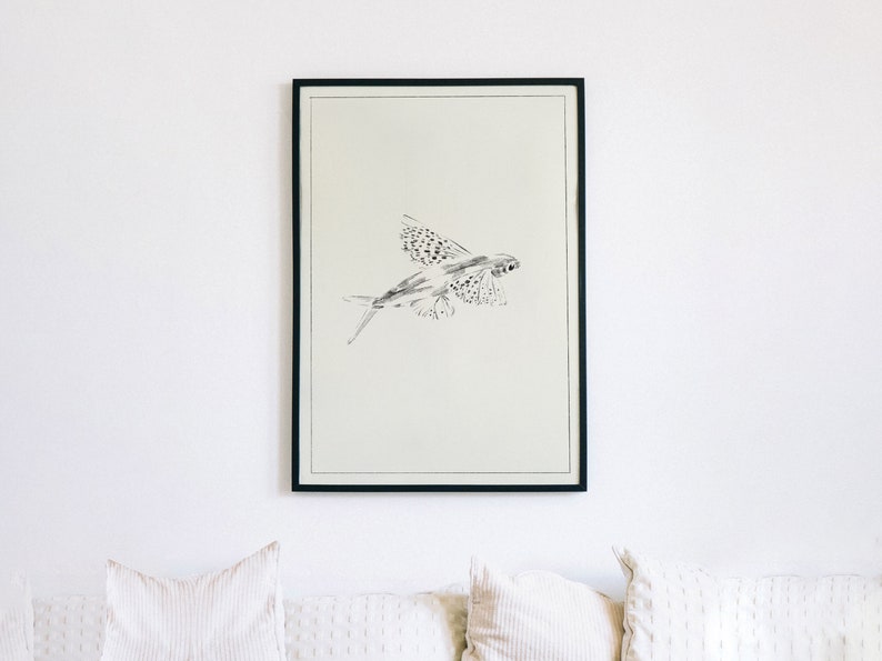 Flying Fish Graphite Sketch Wall Art & Illustrations in Three Colors ...