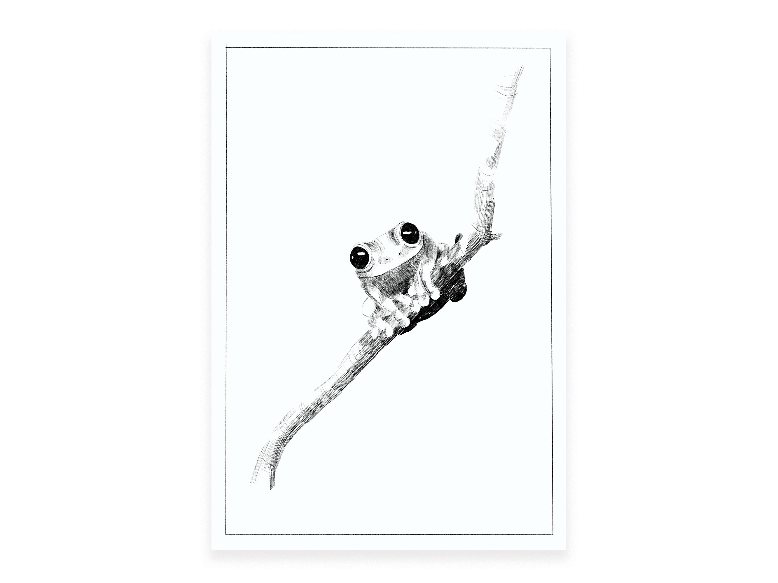 Frog Graphite Sketch Wall Art & Illustrations in Three Colors DIGITAL ...