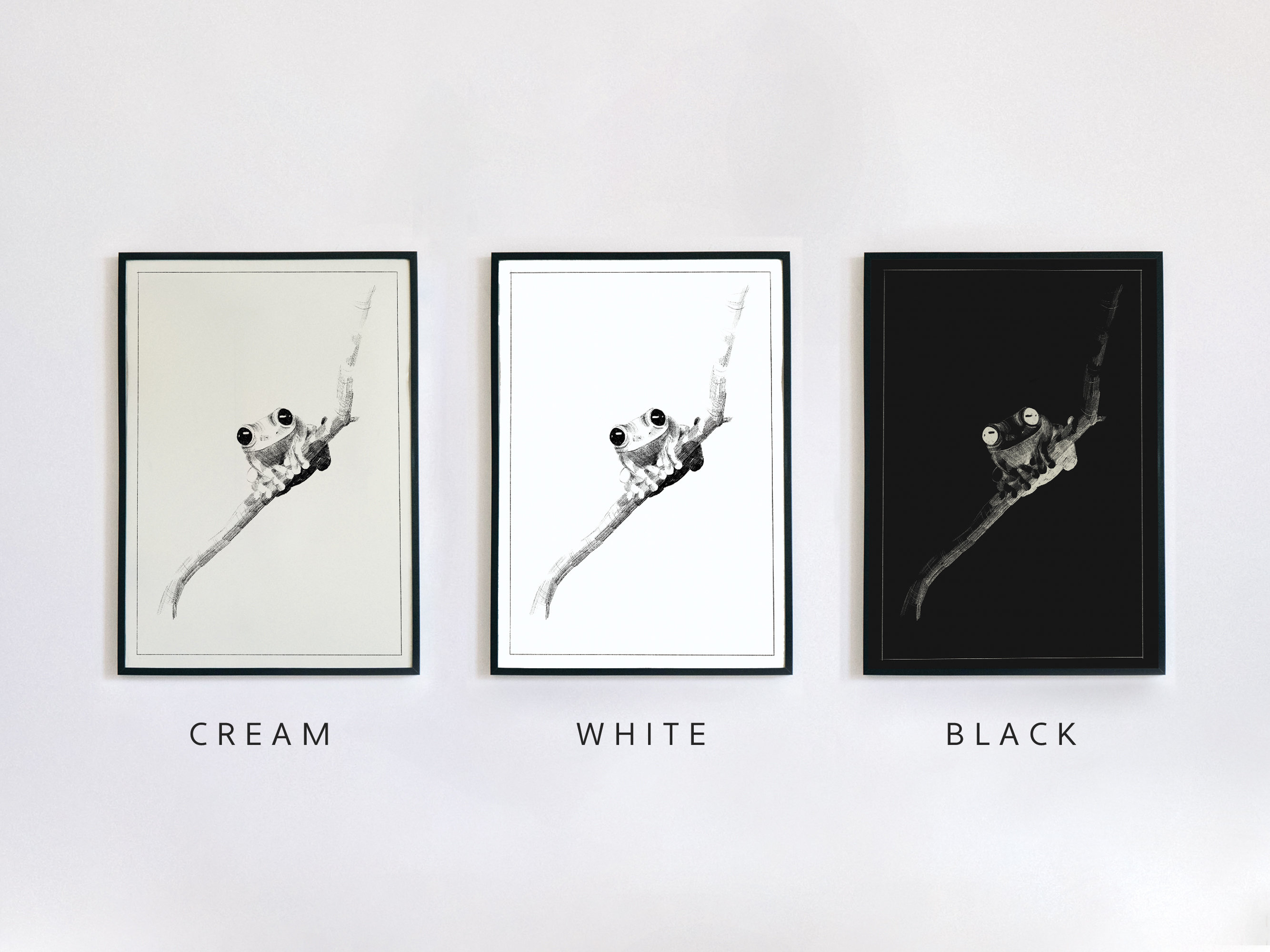 Frog Graphite Sketch Wall Art & Illustrations in Three Colors DIGITAL ...