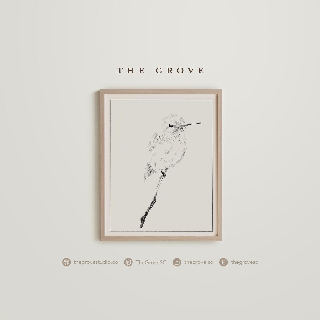 Bird Graphite Sketch Wall Art & Illustrations in Three Colors – DIGITAL ...