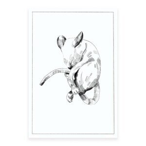 Sleepy Mouse Graphite Sketch Wall Art & Illustrations in Three Colors ...