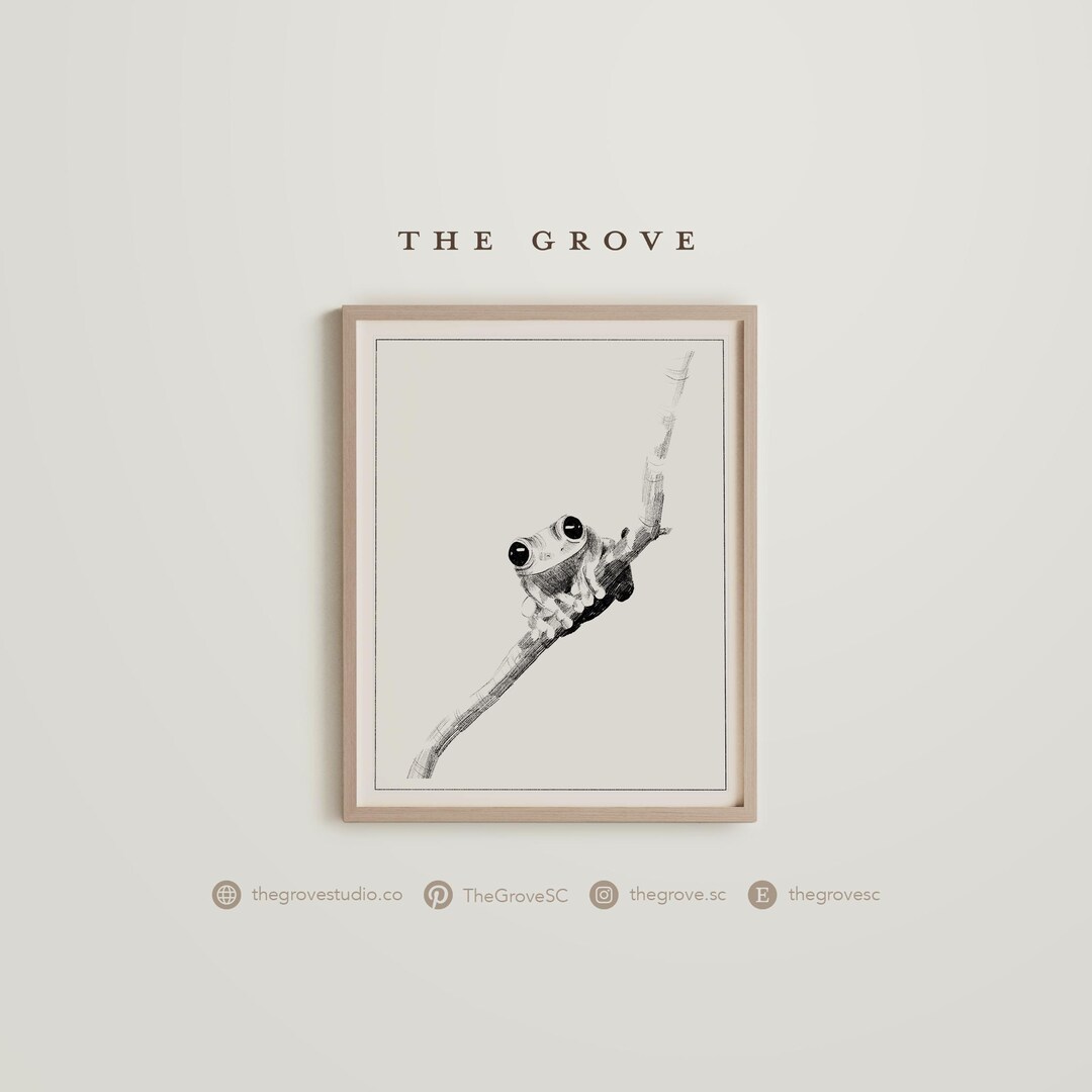 Frog Graphite Sketch Wall Art & Illustrations in Three Colors – DIGITAL ...