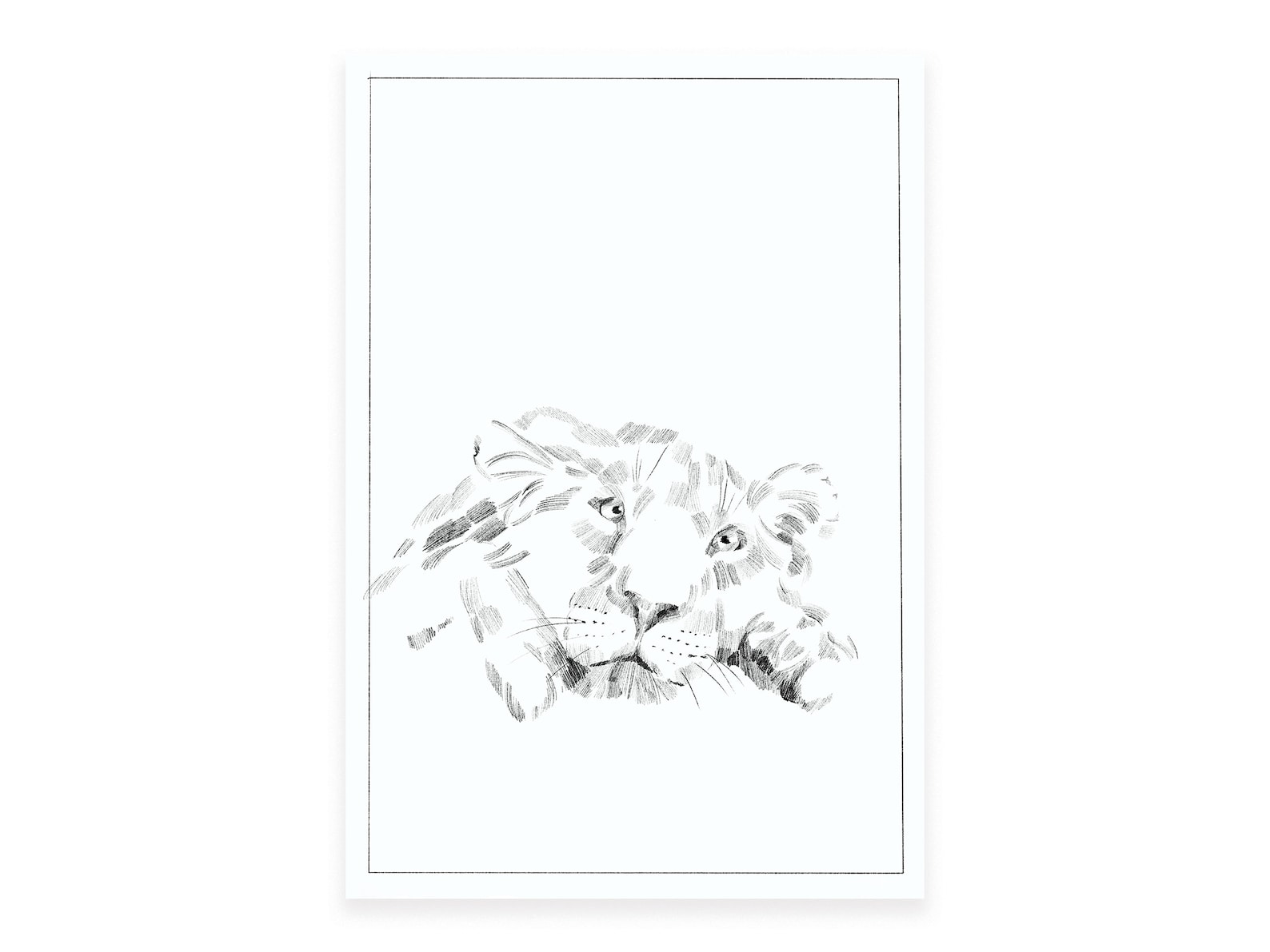 Lion Graphite Sketch Wall Art & Illustrations in Three Colors - Etsy