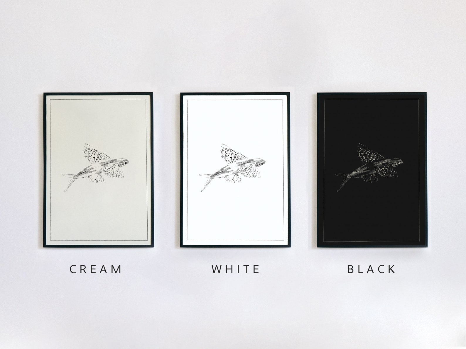 Flying Fish Graphite Sketch Wall Art & Illustrations in Three Colors ...