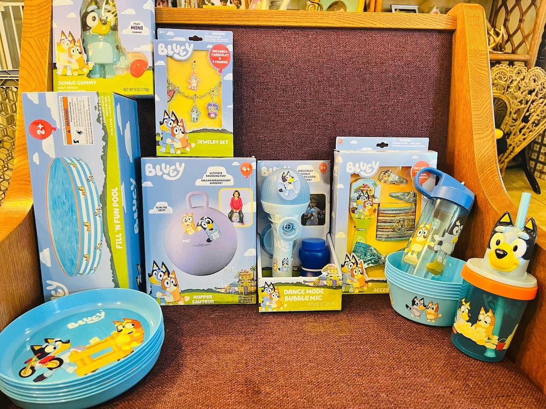 Bluey Pool Party Bundle - Etsy