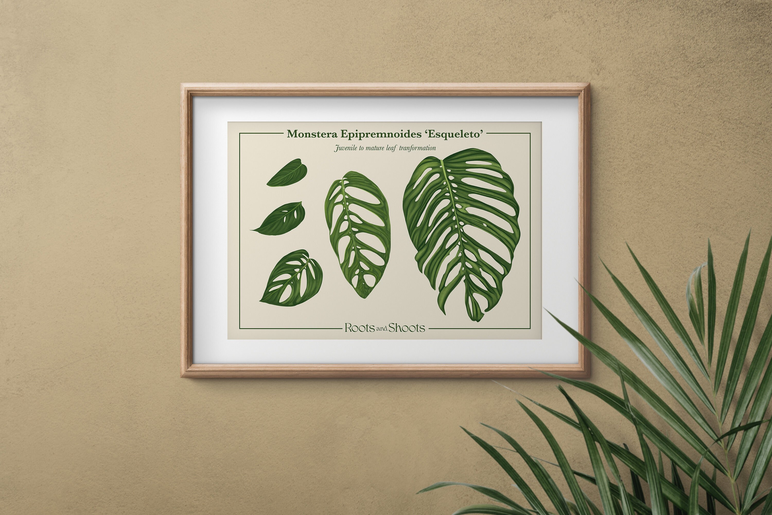 Monstera Epipremnoides Esqueleto Digital Botanical Illustration Leaf ...
