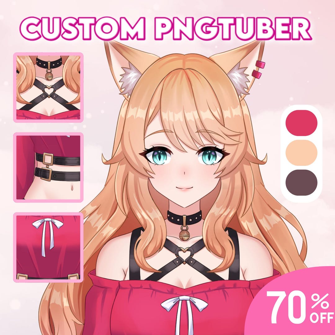 CUSTOM PNGTUBER MODEL | Pngtuber, Vtuber Model, Twitch Pngtuber ...