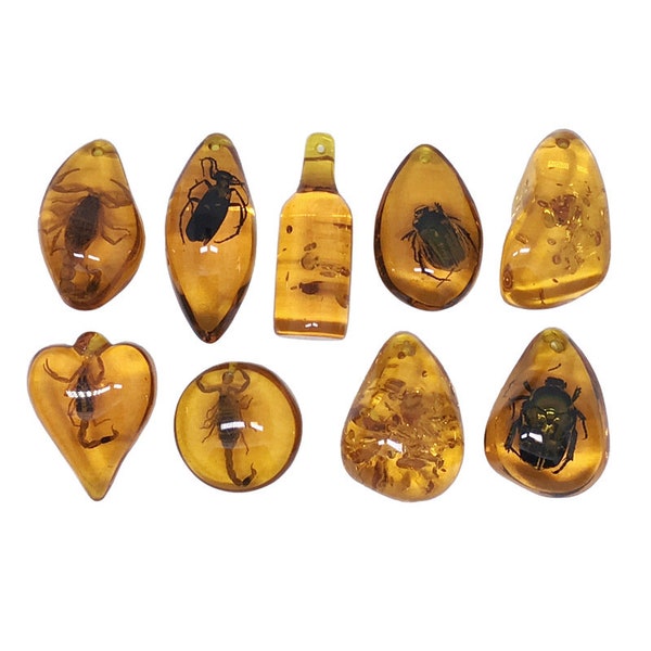 Amber With Insect - Etsy