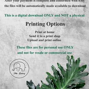 Set of 2 Photos of an Old House in Shiraz, Persian Art, Shiraz Photo ...