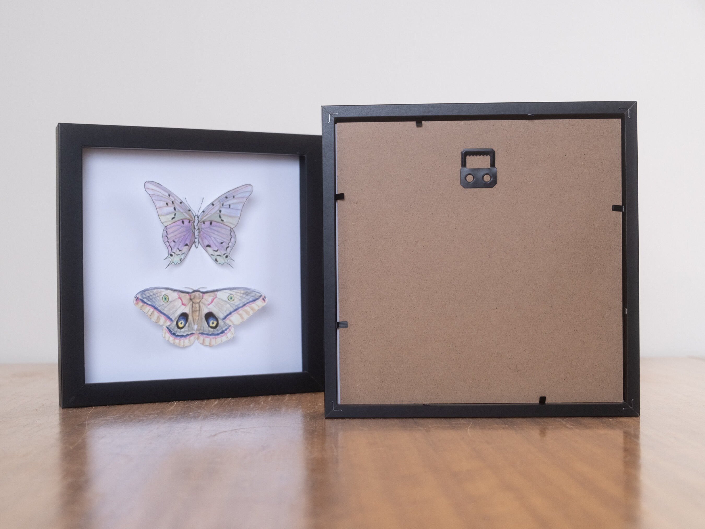 Butterfly and Moth Shadow Box, Fauxidermy Painted Butterflies - Etsy