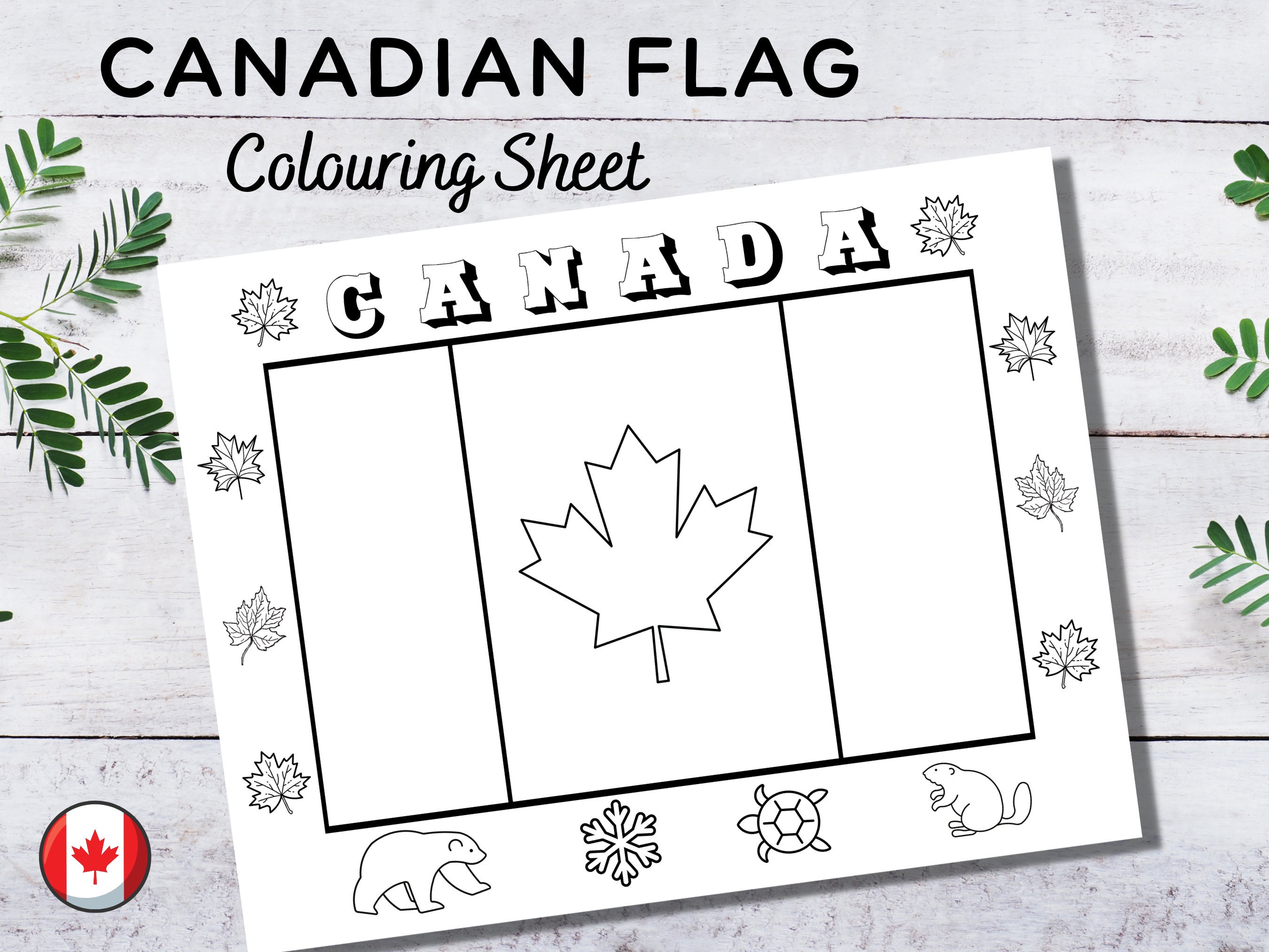 Canada Activity Sheets: Kids Learning & Coloring (digital Download) - Etsy