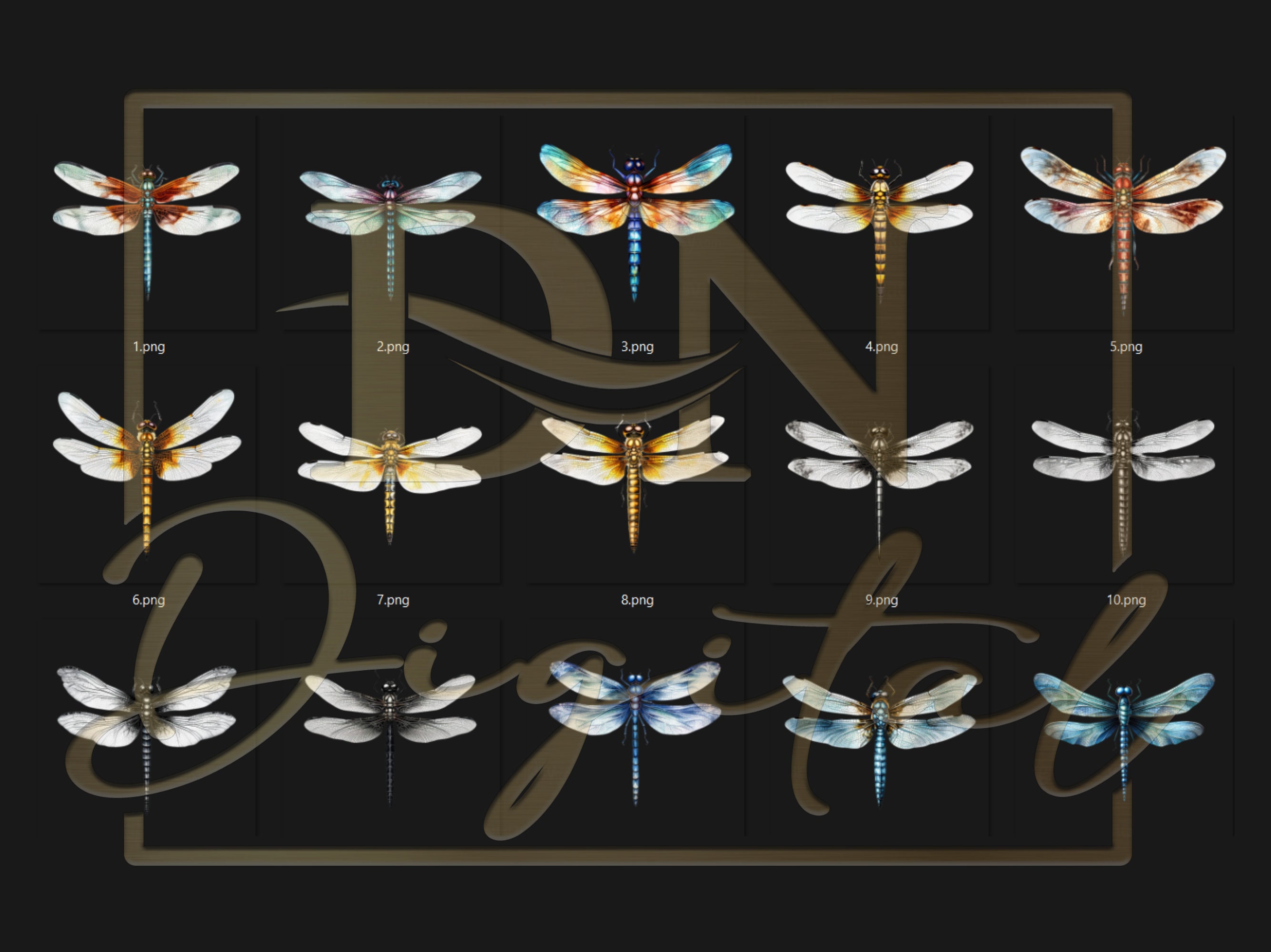 40 Dragon-fly Clipart Collection • Dragonfly Illustration With ...