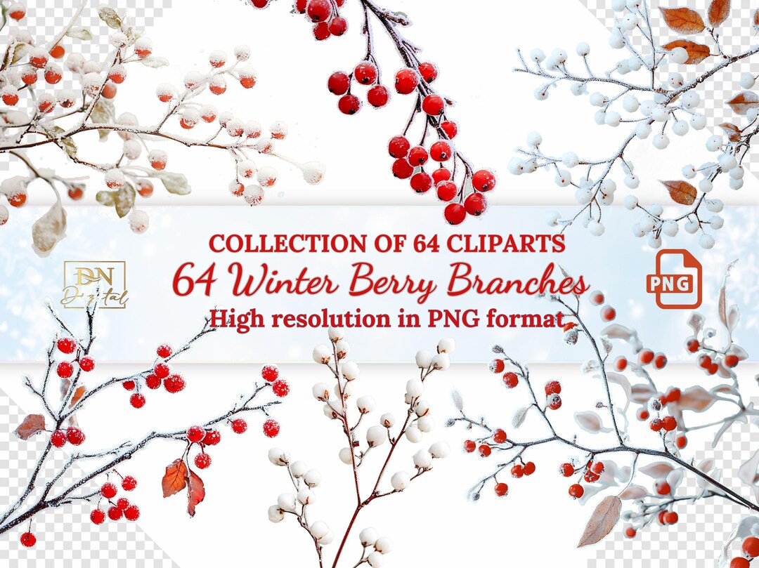 64 Winter Berry Branches Overlays/clipart Collection • Frozen Berries ...